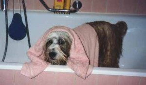 Histoire « lha-khang