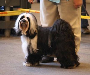 Histoire « lha-khang