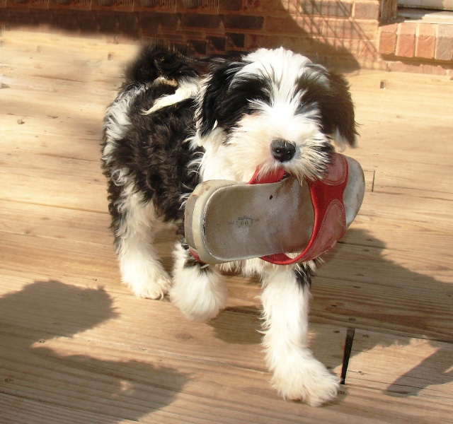 Histoire « lha-khang