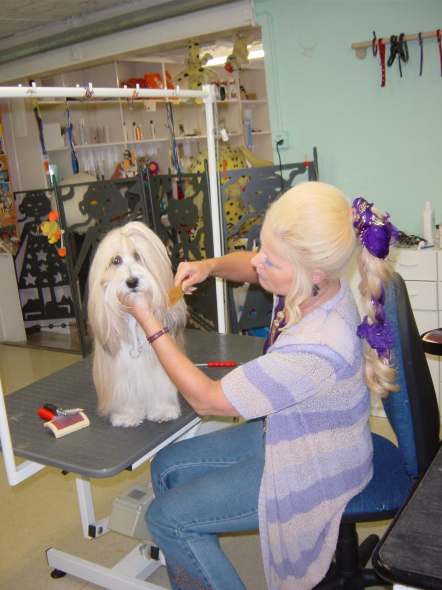 Histoire « lha-khang