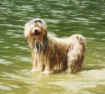 Histoire « lha-khang